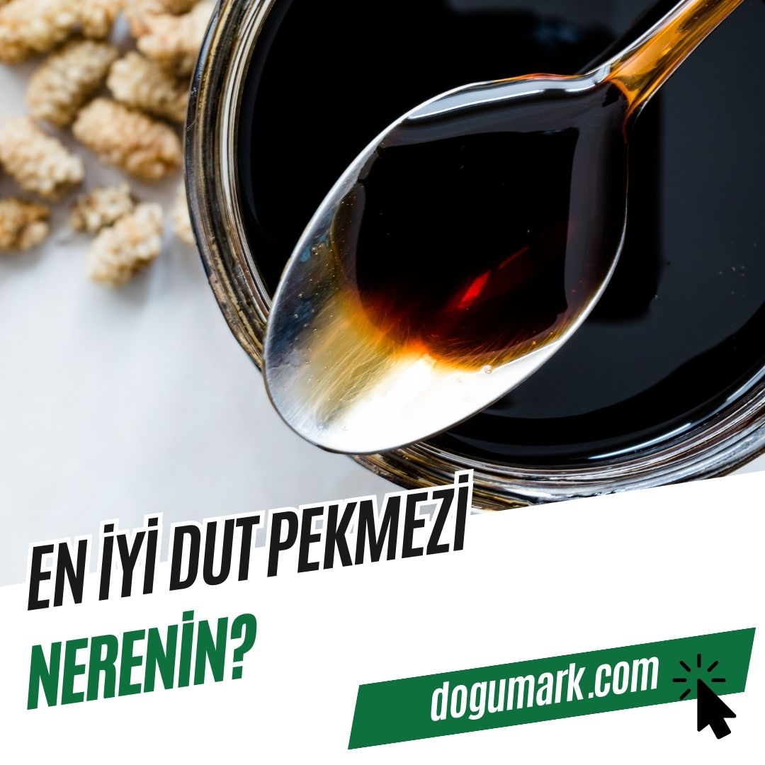En iyi Dut Pekmezi Nerenin? - DoğuMark