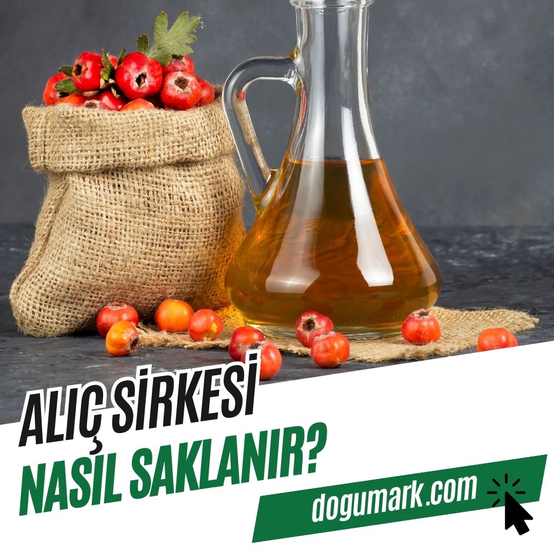 Alıç Sirkesi Nasıl Saklanır? - DoğuMark