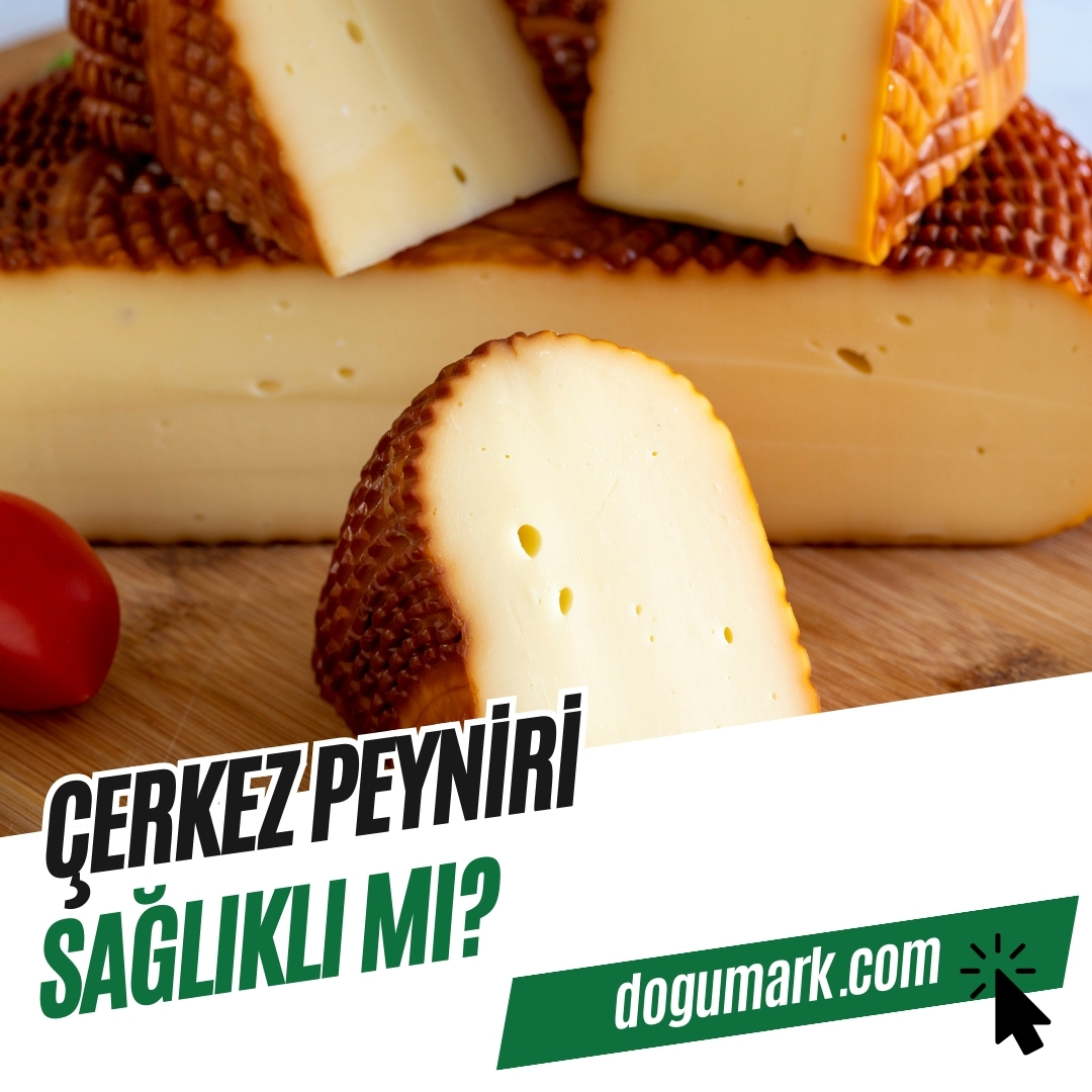 Çerkez Peyniri Sağlıklı mı? - DoğuMark