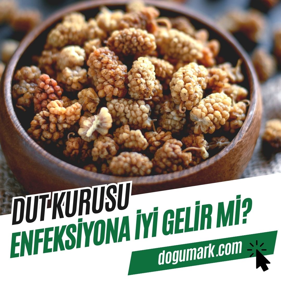 Dut Kurusu Enfeksiyona İyi Gelir mi? - DoğuMark