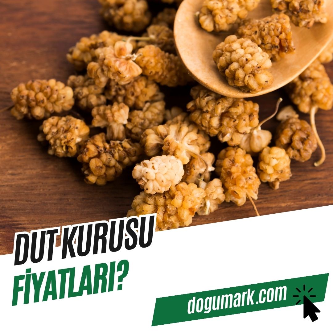 Dut Kurusu Fiyatları? - DoğuMark
