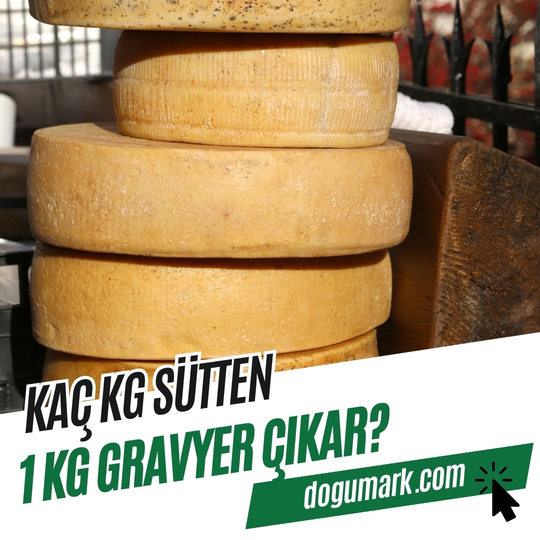 Kaç Kilo Sütten 1 Kilo Gravyer Çıkar? - DoğuMark