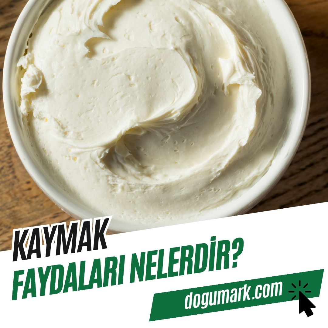 Kaymak Faydaları Nelerdir? - DoğuMark