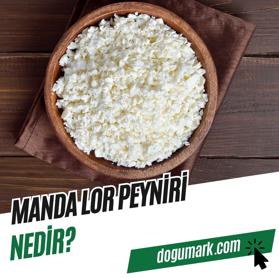 Manda Lor Peyniri Nedir? - DoğuMark
