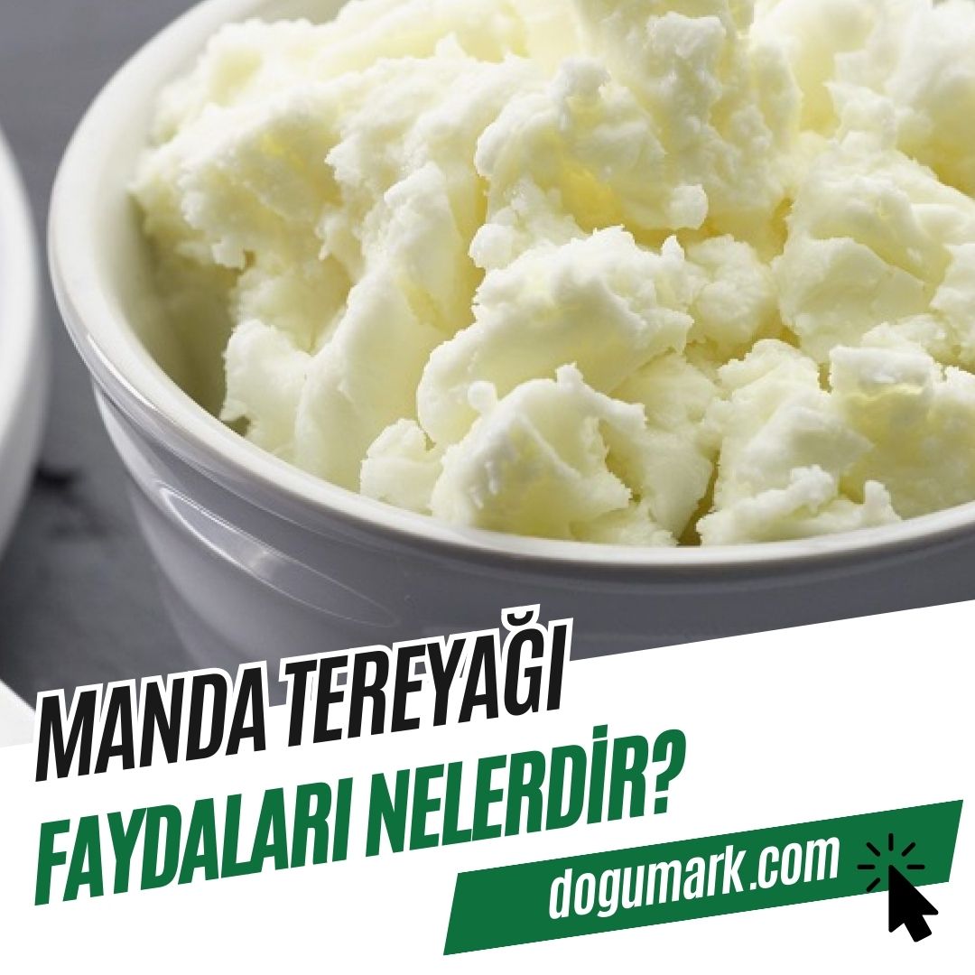 Manda Tereyağı Faydaları Nelerdir? - DoğuMark