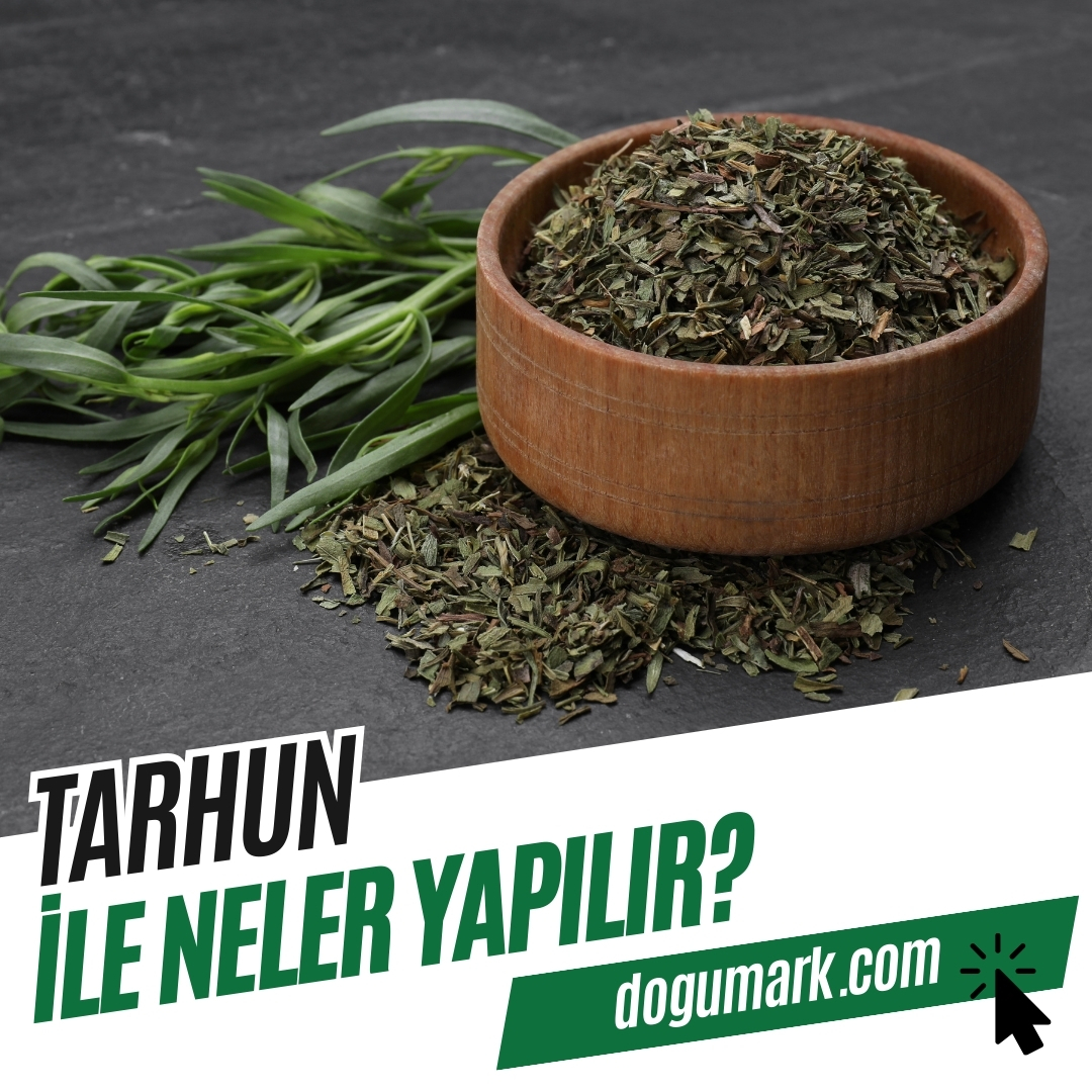 Tarhun ile Neler Yapılır? - DoğuMark