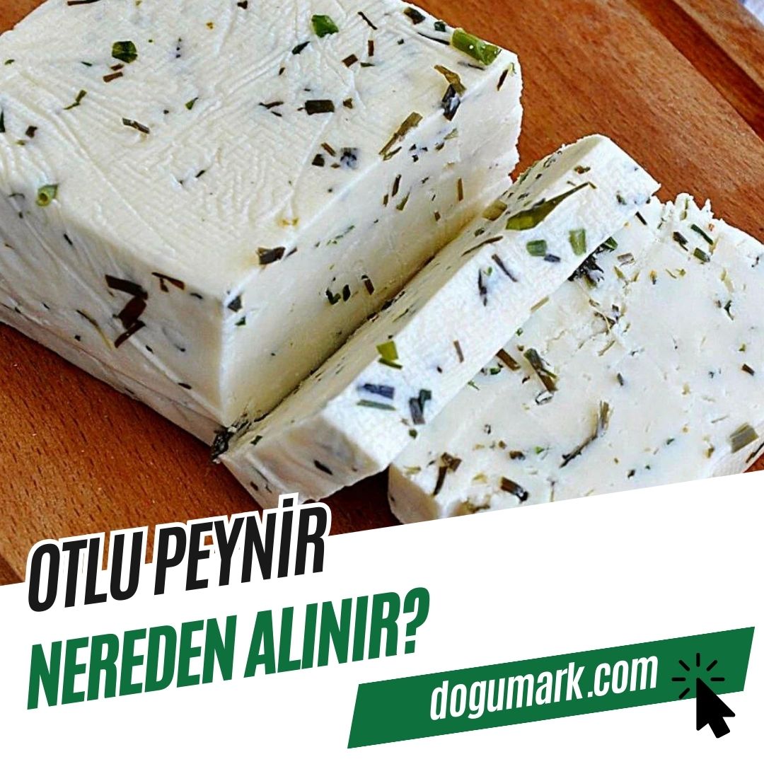 Otlu Peynir Nereden Alınır? - DoğuMark